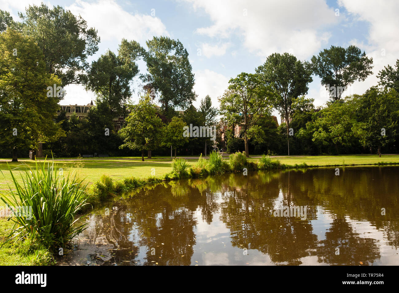 Park in Amsterdam in summer, Netherlands, Northern Netherlands ...