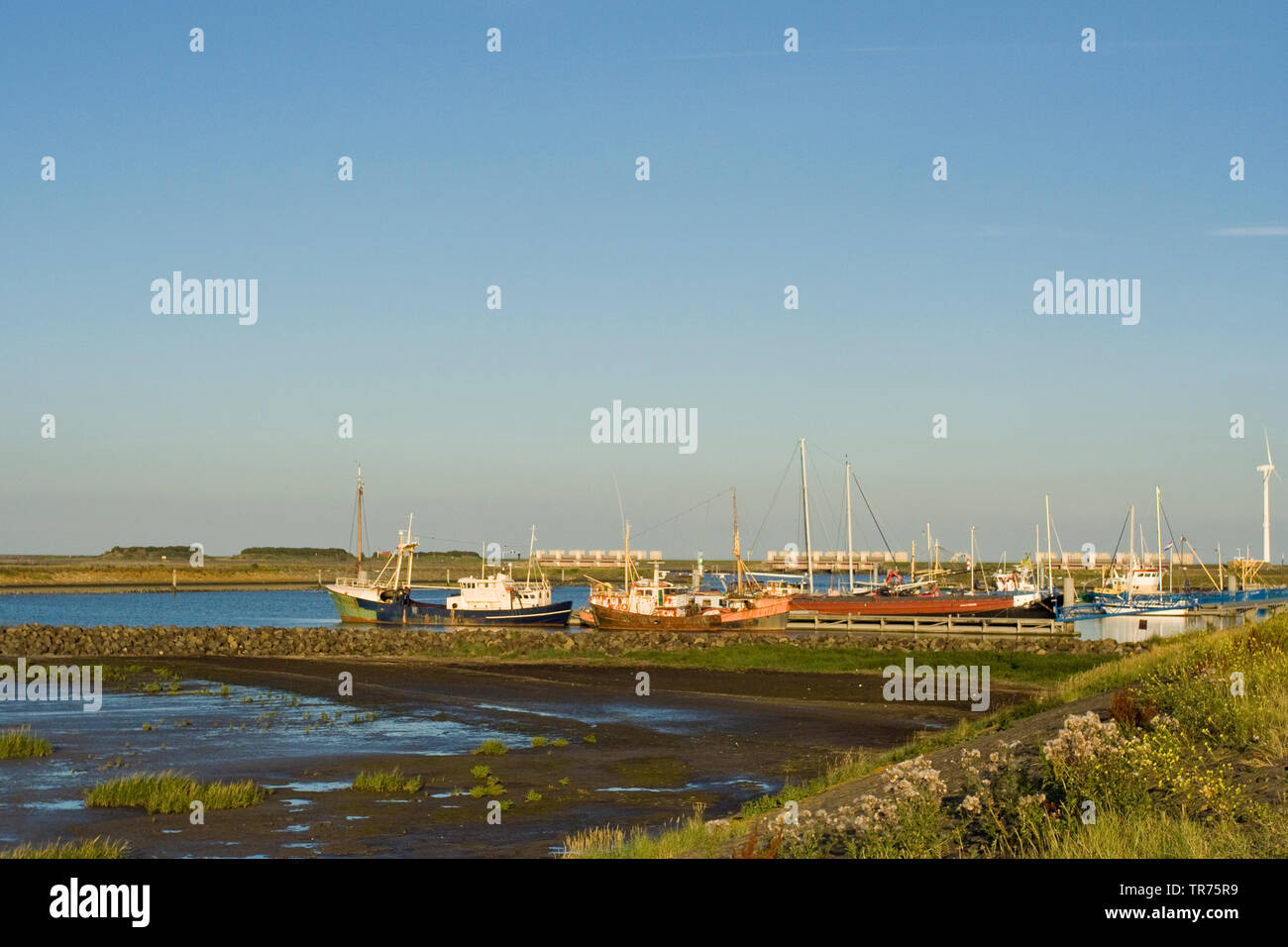 Boats in harbour at Den Oever, Netherlands, Northern Netherlands, Den ...