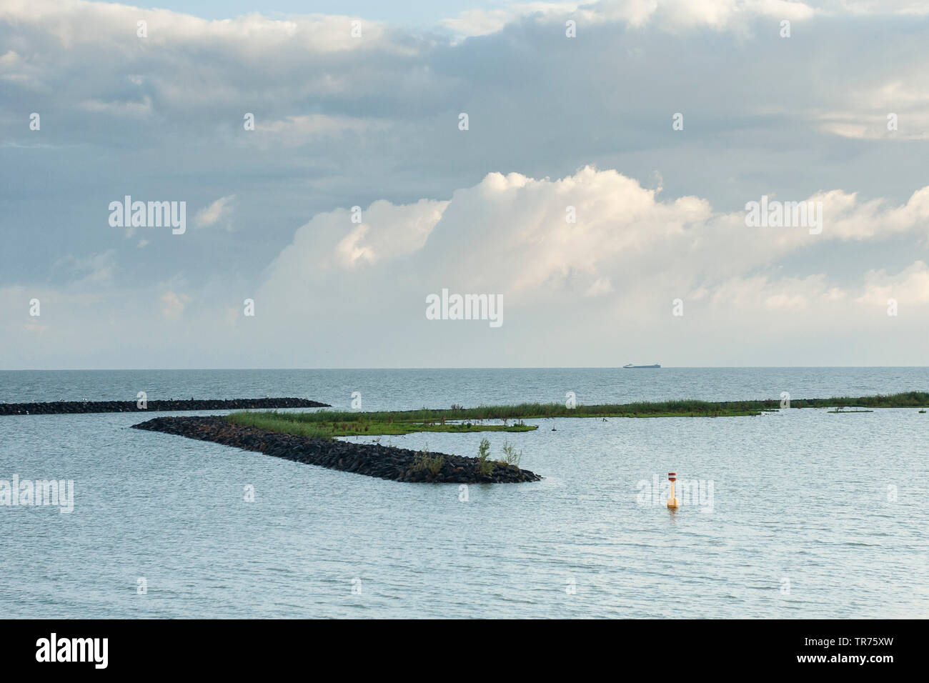 Markermeer, Netherlands, Flevoland, Oostvaardersplassen Stock Photo - Alamy