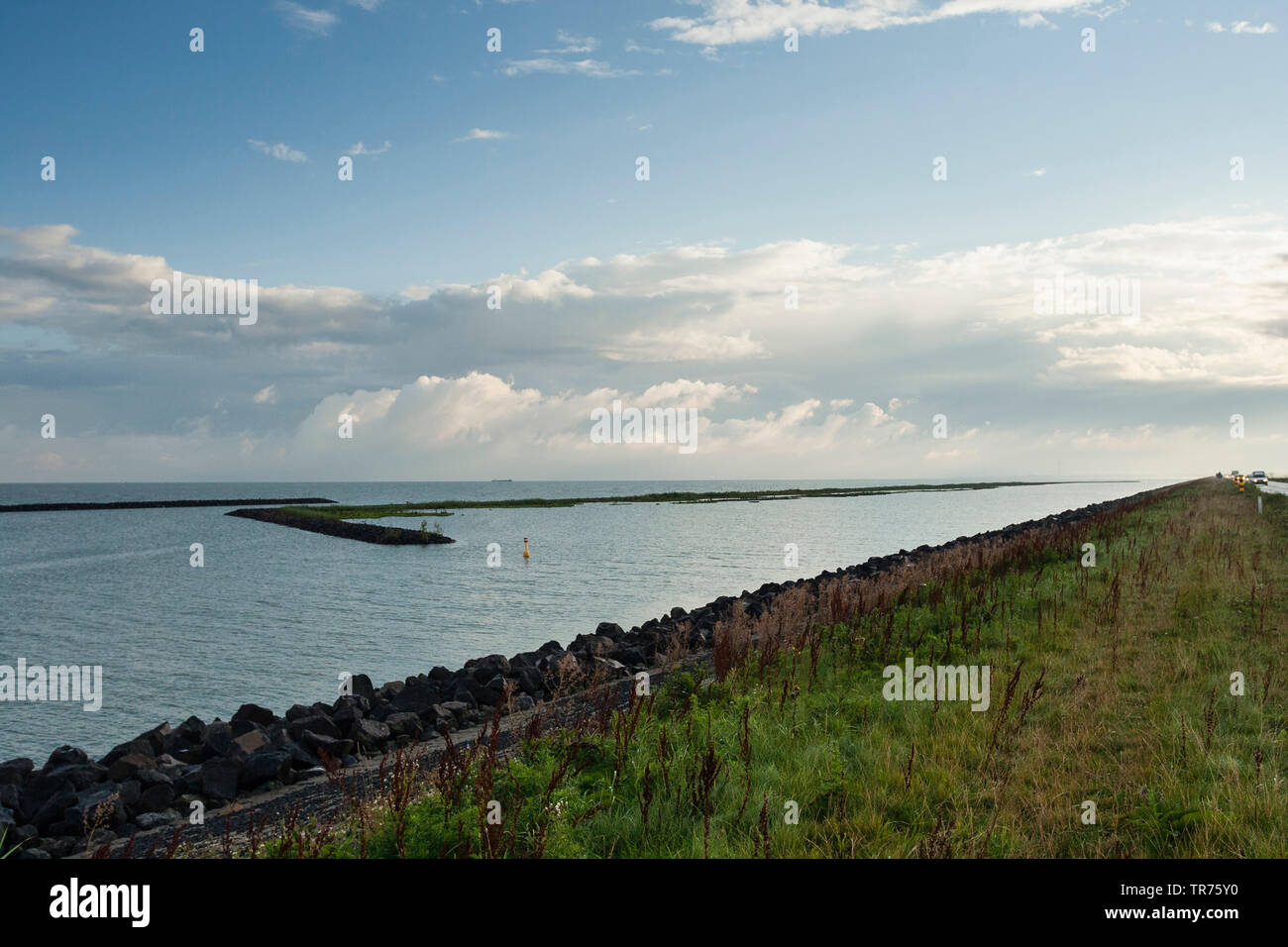 Markermeer, Netherlands, Flevoland, Oostvaardersplassen Stock Photo - Alamy