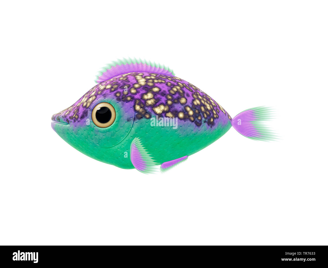 2D illustration cartoon of a purple green fish Stock Photo - Alamy