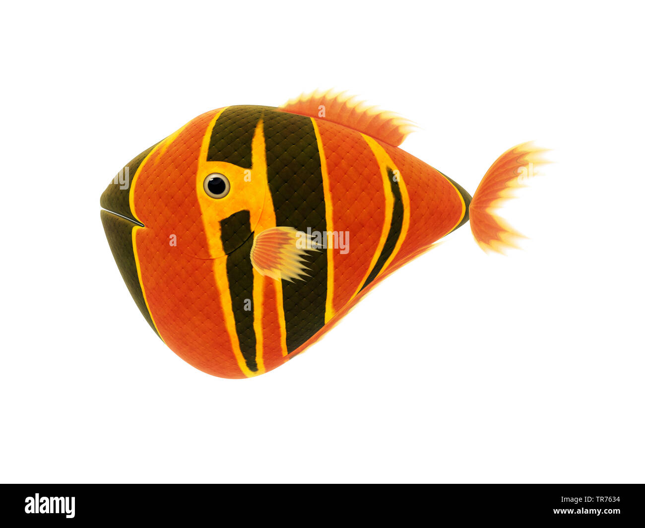 2D illustration cartoon of a black-red-golden fish Stock Photo - Alamy