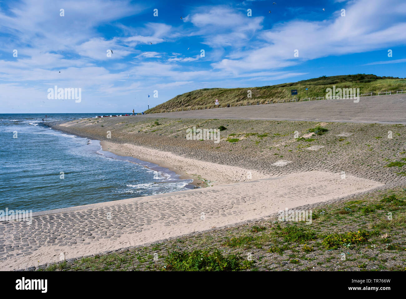 dike at Katwijk aan Zee in summer, Netherlands, South Holland, Katwijk aan Zee Stock Photo - Alamy