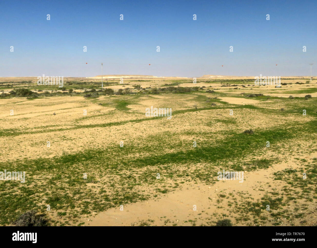 Negeb hi-res stock photography and images - Alamy