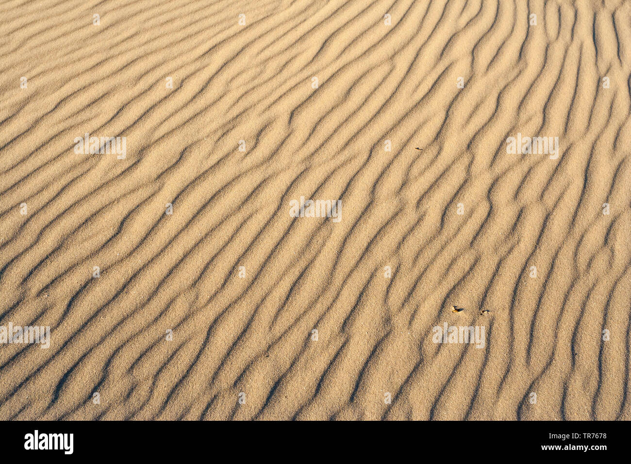 Ripple Marks In Rocks