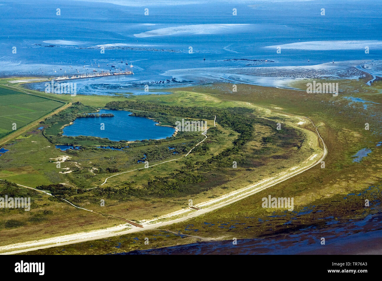 wadden sea landscape at the North Sea, aerial photo, Netherlands ...