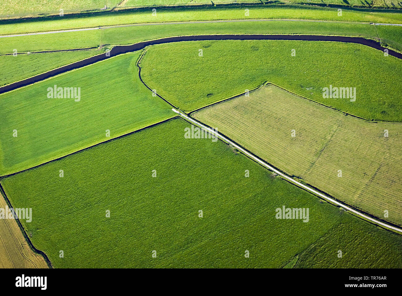 field with drainage ditches at the North Sea, aerial photo, Netherlands ...