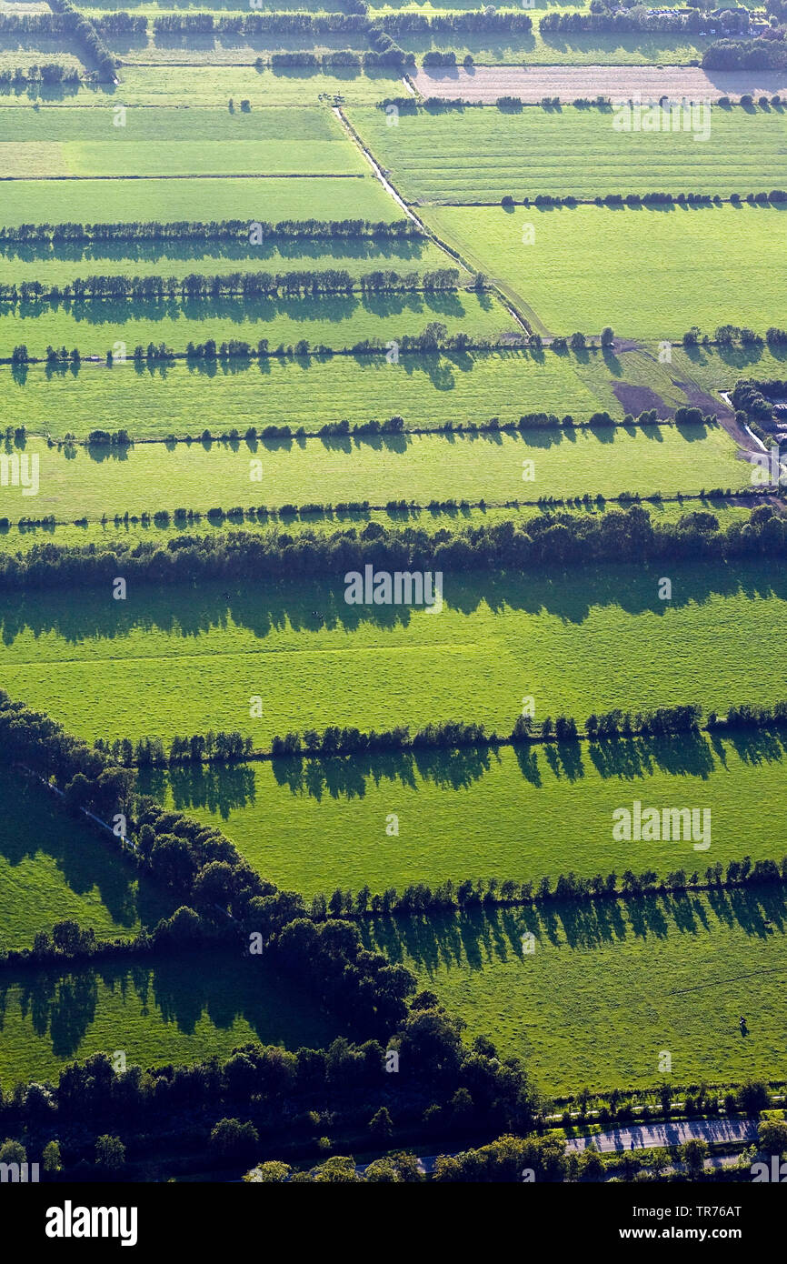 field landscape with hedges at the North Sea, aerial photo, Netherlands ...