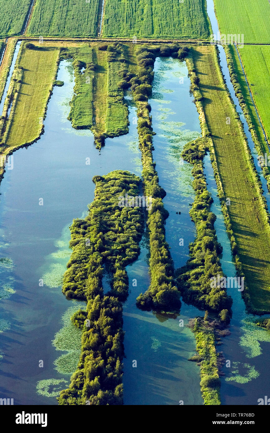 fields and water ditches, aerial photo, Netherlands Stock Photo - Alamy