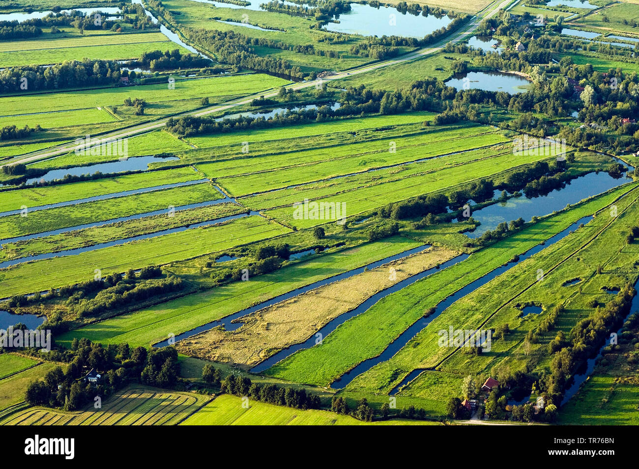 field landscape with ditches, aerial photo, Netherlands Stock Photo - Alamy