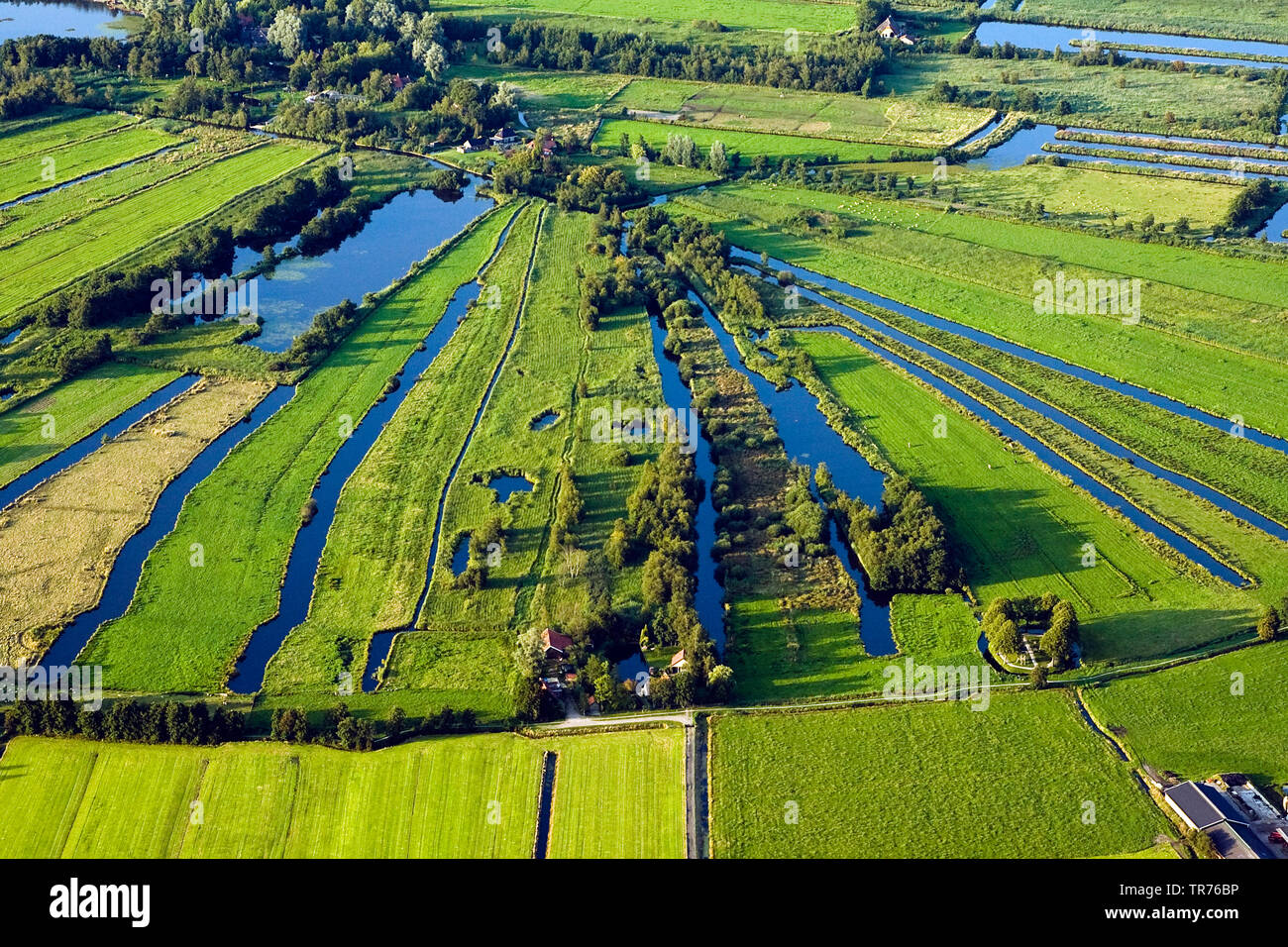 field landscape with ditches, aerial photo, Netherlands Stock Photo - Alamy