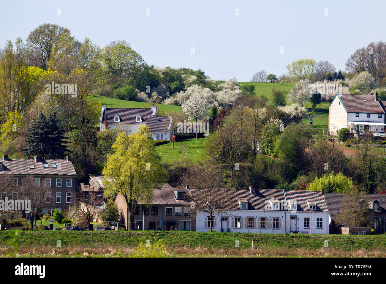 Trees and villages hi-res stock photography and images - Alamy