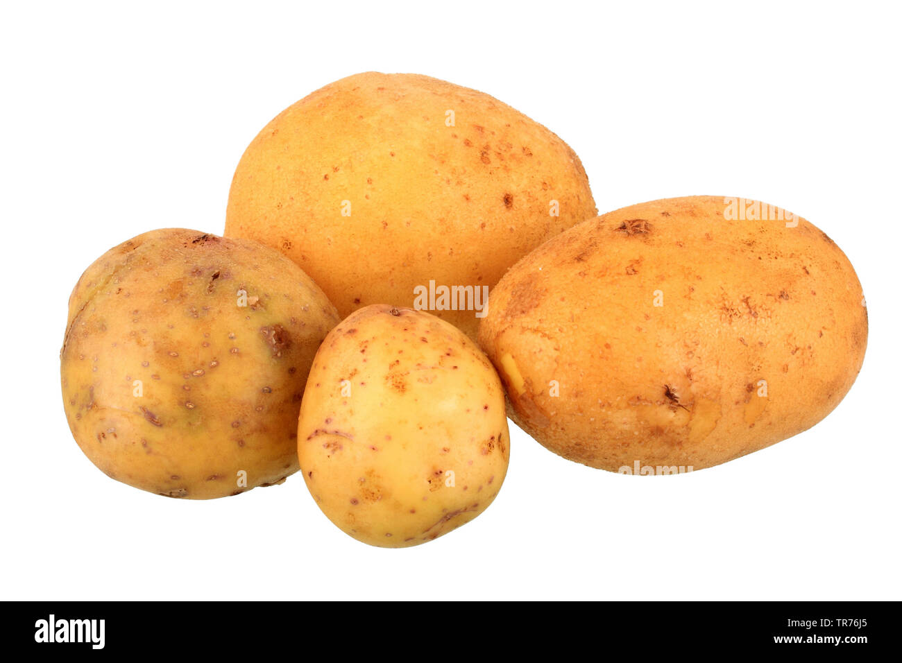 Agria potato hi-res stock photography and images - Alamy