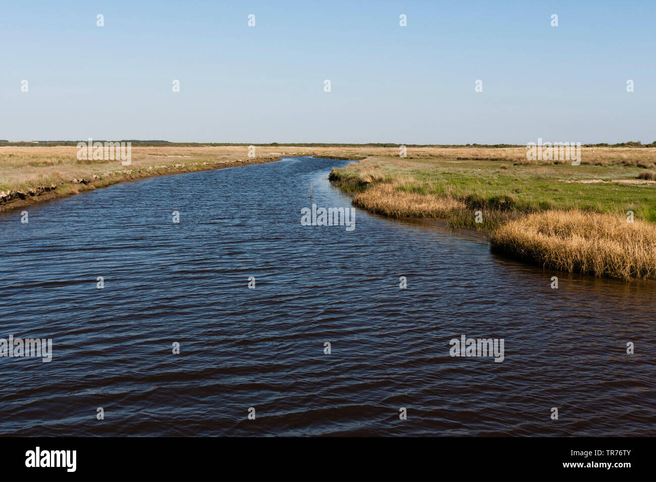 water trench along grassland, Netherlands, Schiermonnikoog Stock Photo ...