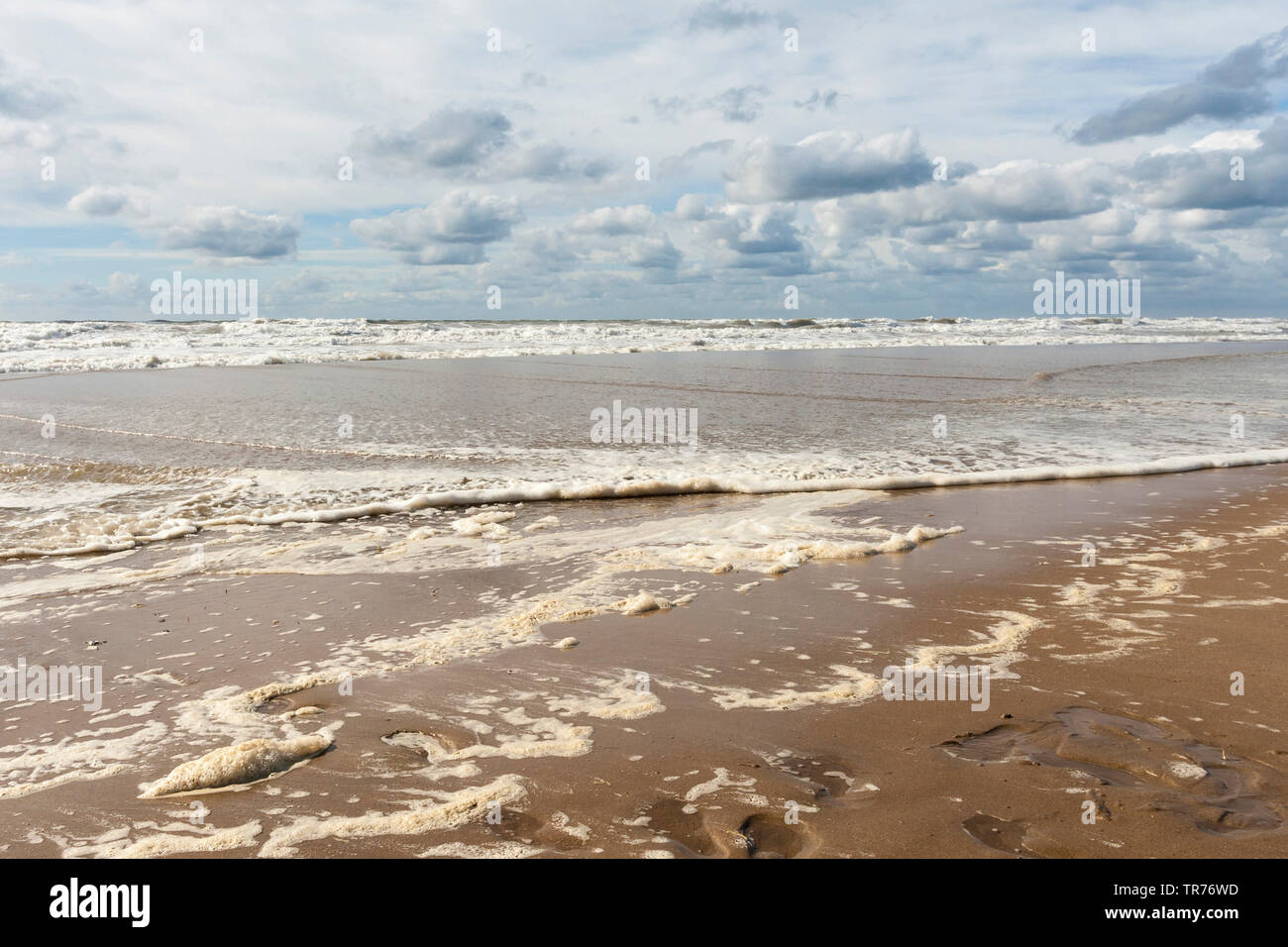 Beach at Katwijk aan Zee in summer, Netherlands, South Holland, Katwijk aan Zee Stock Photo - Alamy