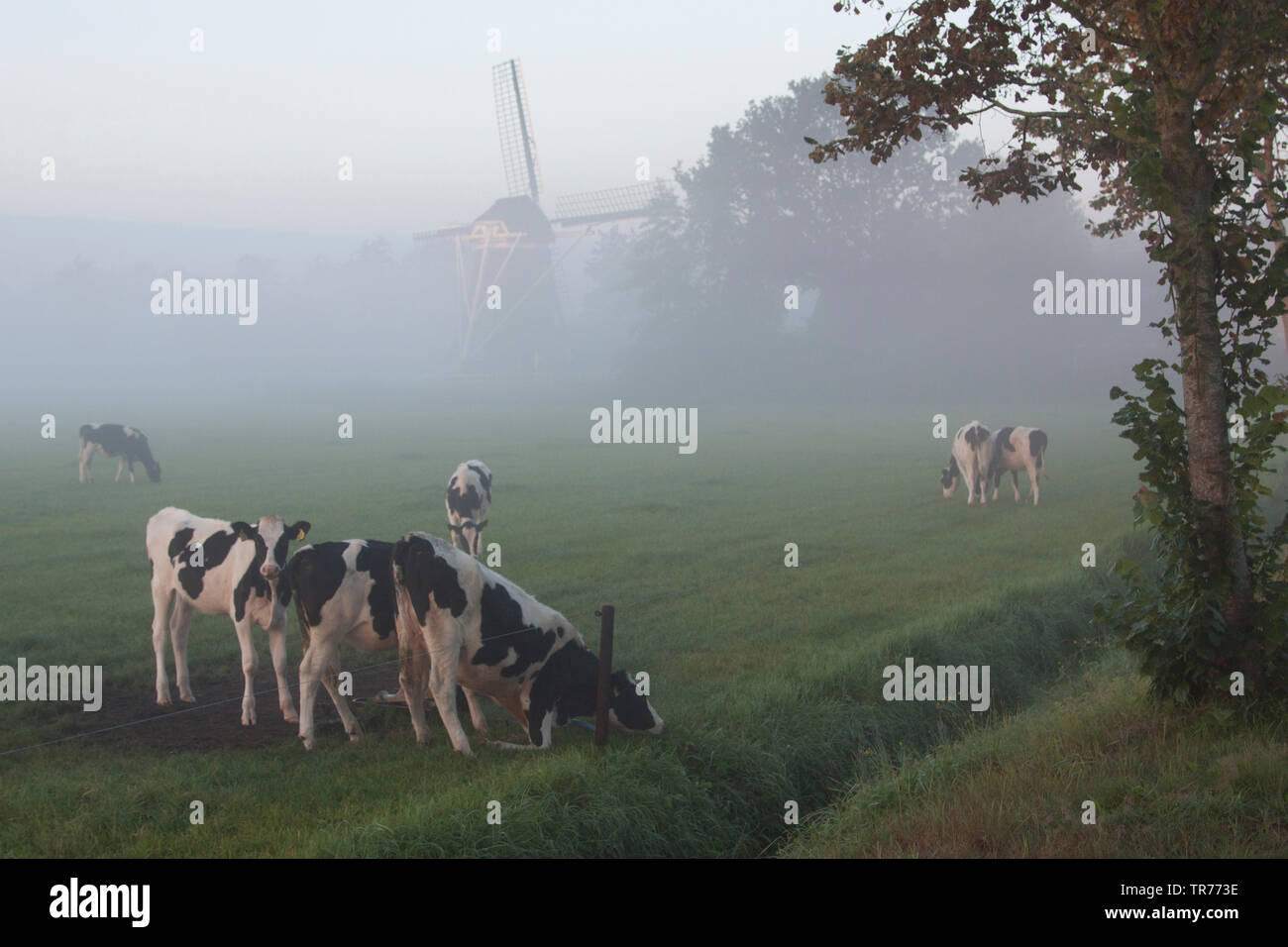 Mist clearing buildings hi-res stock photography and images - Alamy