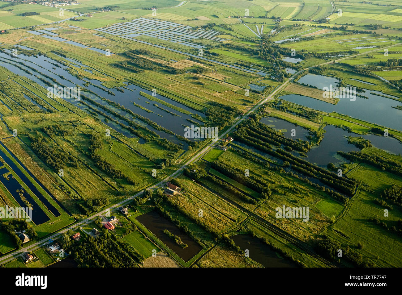 flooded field landscape, aerial view, Netherlands, Northern Netherlands ...