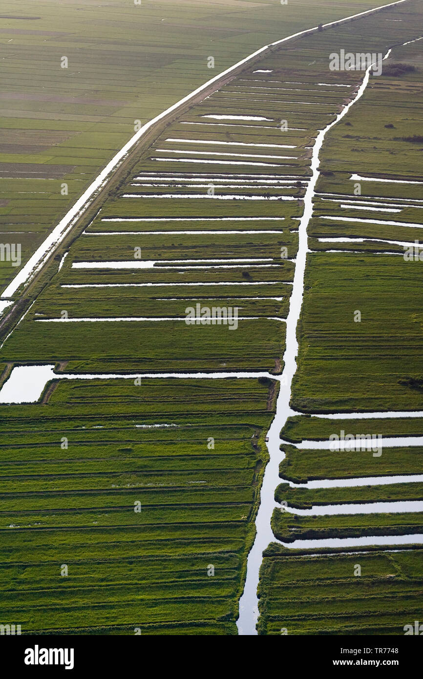 field landscape with drainage channels, aerial view, Netherlands ...