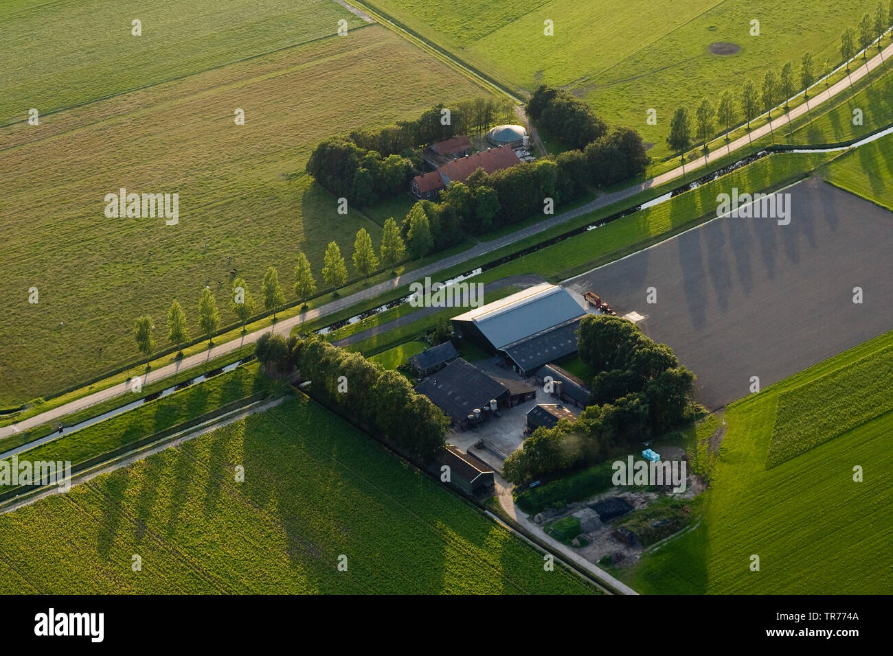 field landscape with farmhouse, aerial view, Netherlands, Northern ...