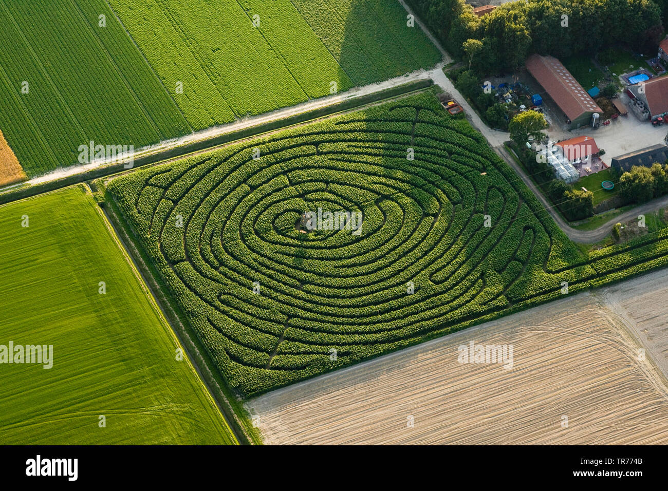 Maze aerial garden hi-res stock photography and images - Alamy
