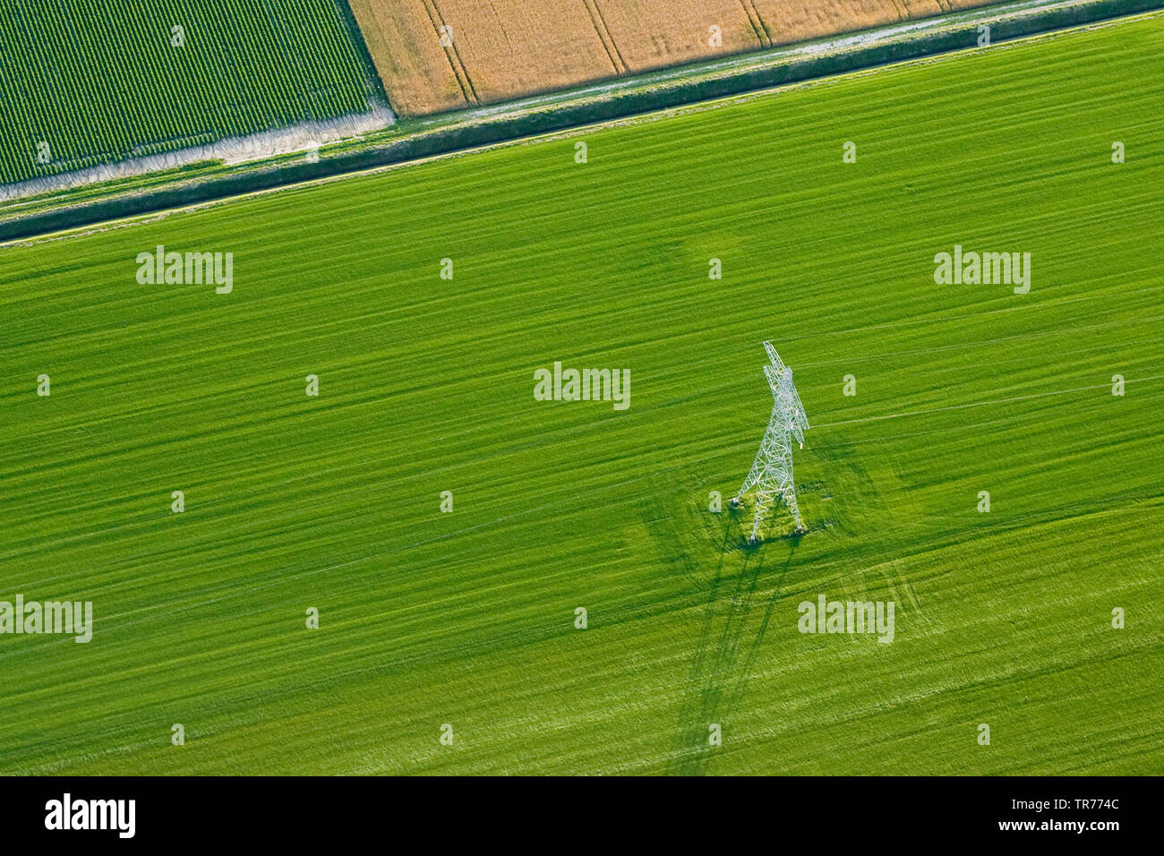 Power line voltage pole hi-res stock photography and images - Alamy