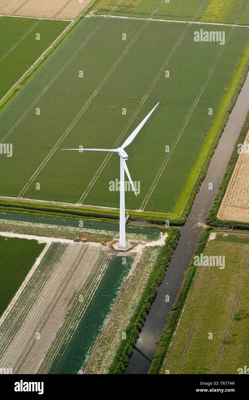 field landscape with wind wheel, aerial view, Netherlands, Northern ...