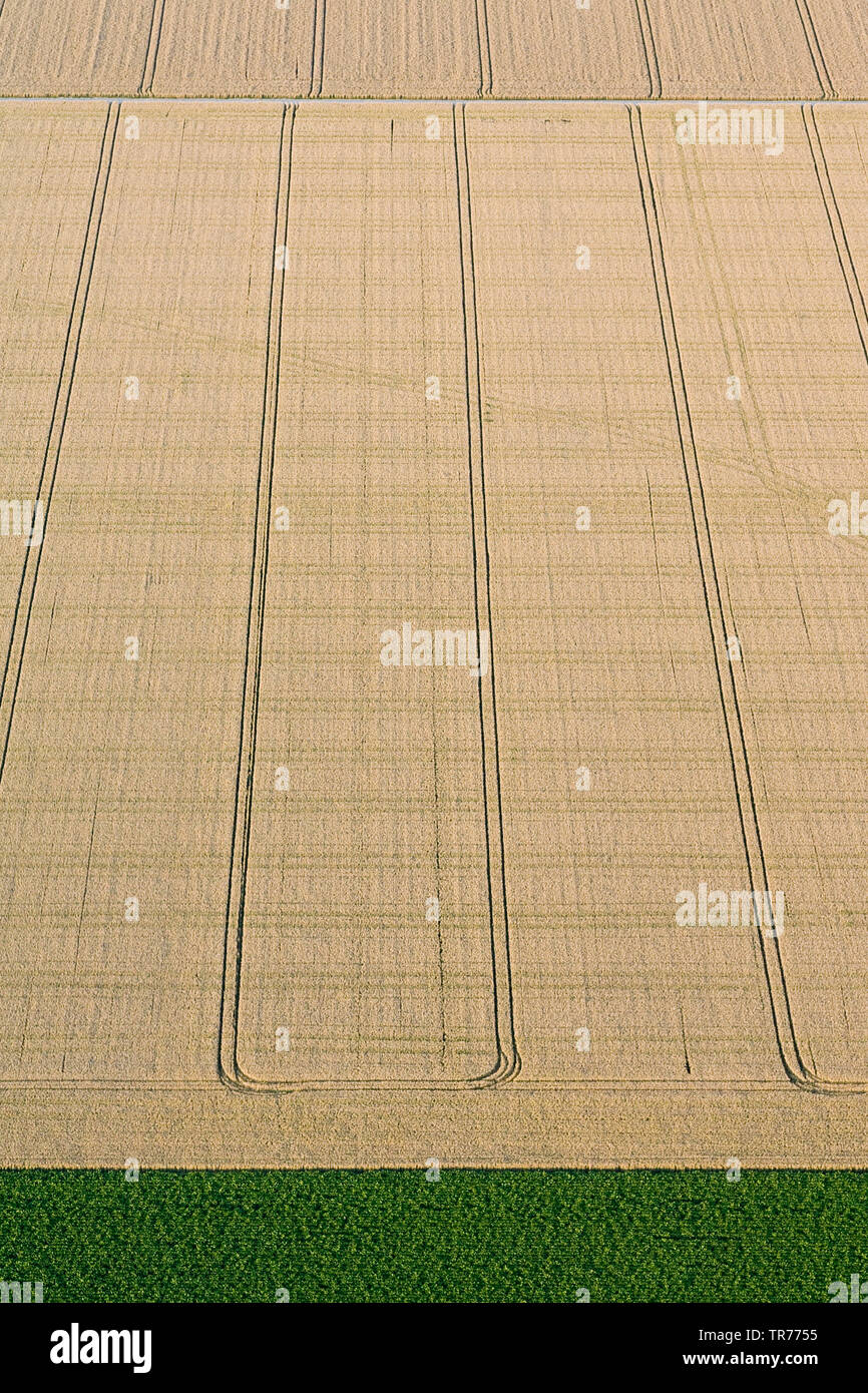 Monotone hi-res stock photography and images - Alamy