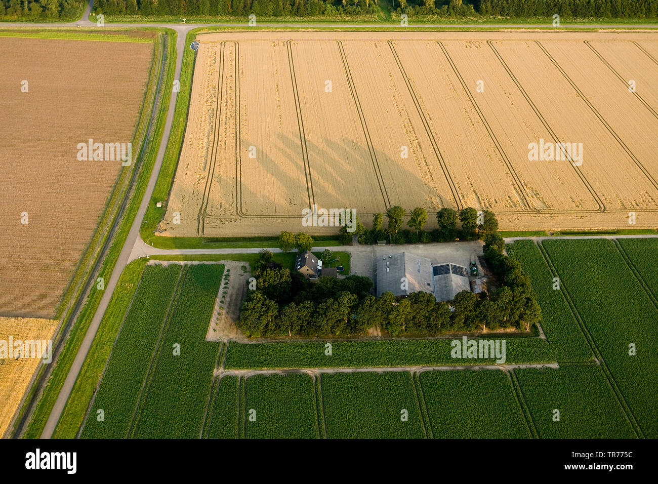 field landscape with farmhouse, aerial view, Netherlands, Northern ...