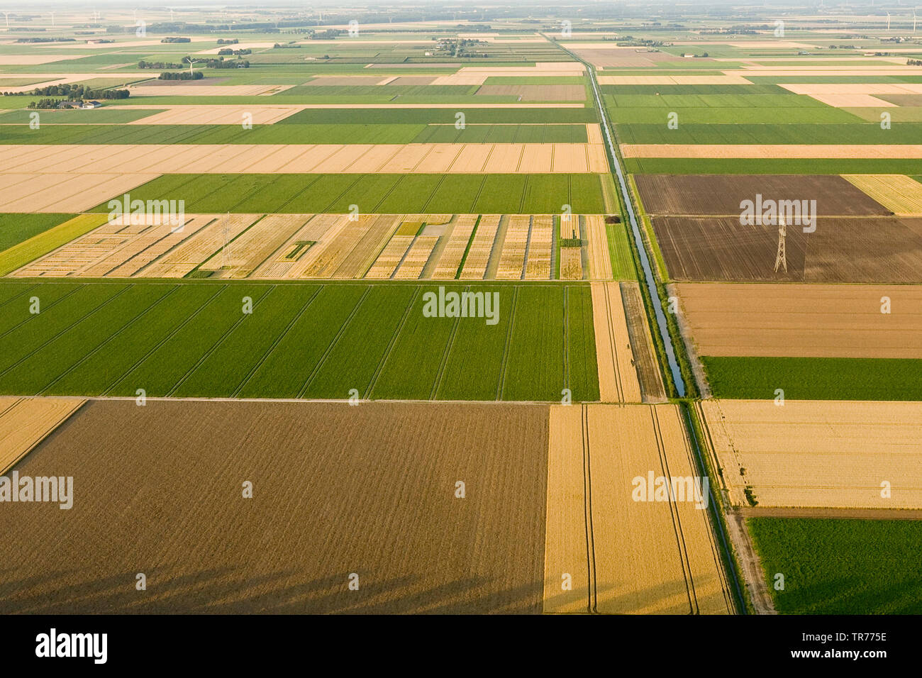 High tension lines in field landscape hi-res stock photography and ...
