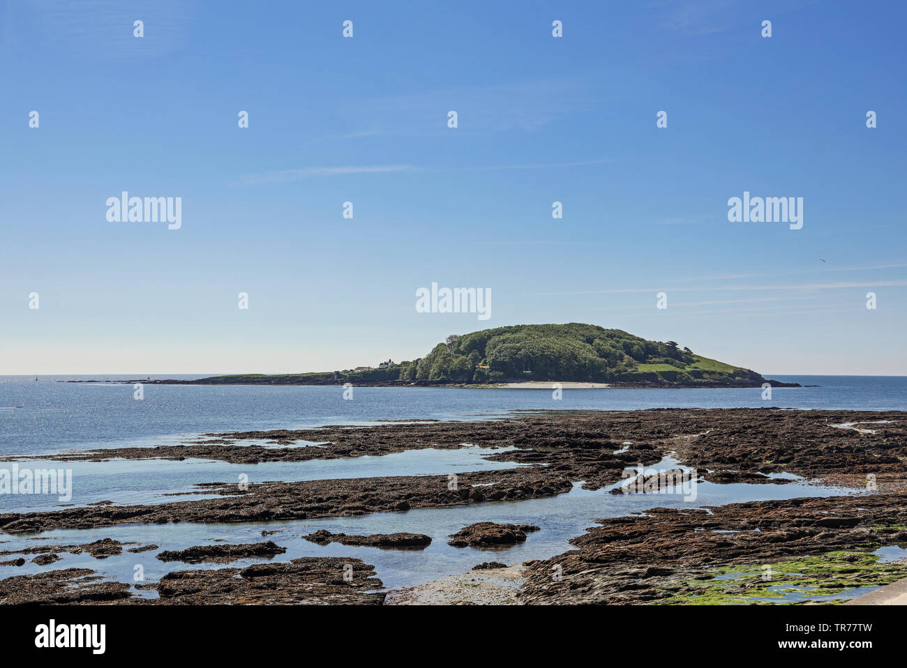 Looe island hi-res stock photography and images - Alamy