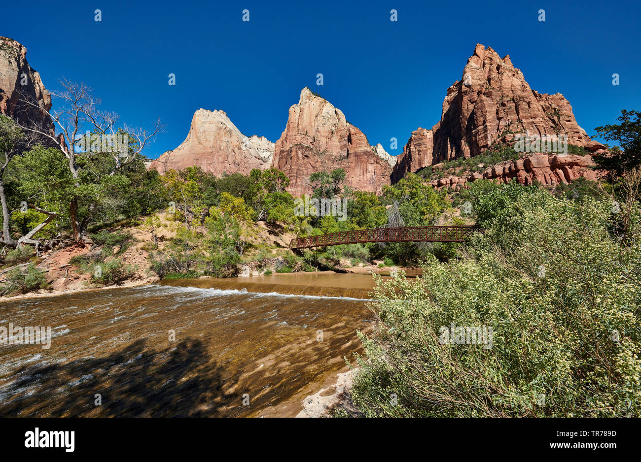 The Three Patriarchs and river in Zion National Park, Utah, USA, North ...