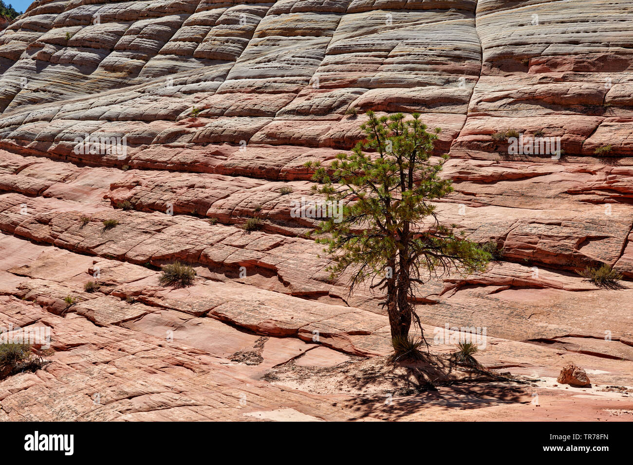 Checkerboard landscape hi-res stock photography and images - Alamy