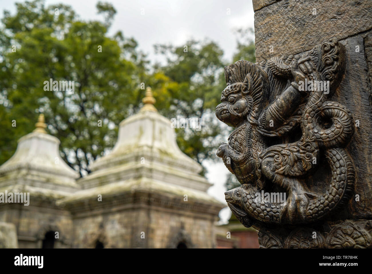 Pashupati Temple – Kathmandu Nepal Stock Photo - Alamy