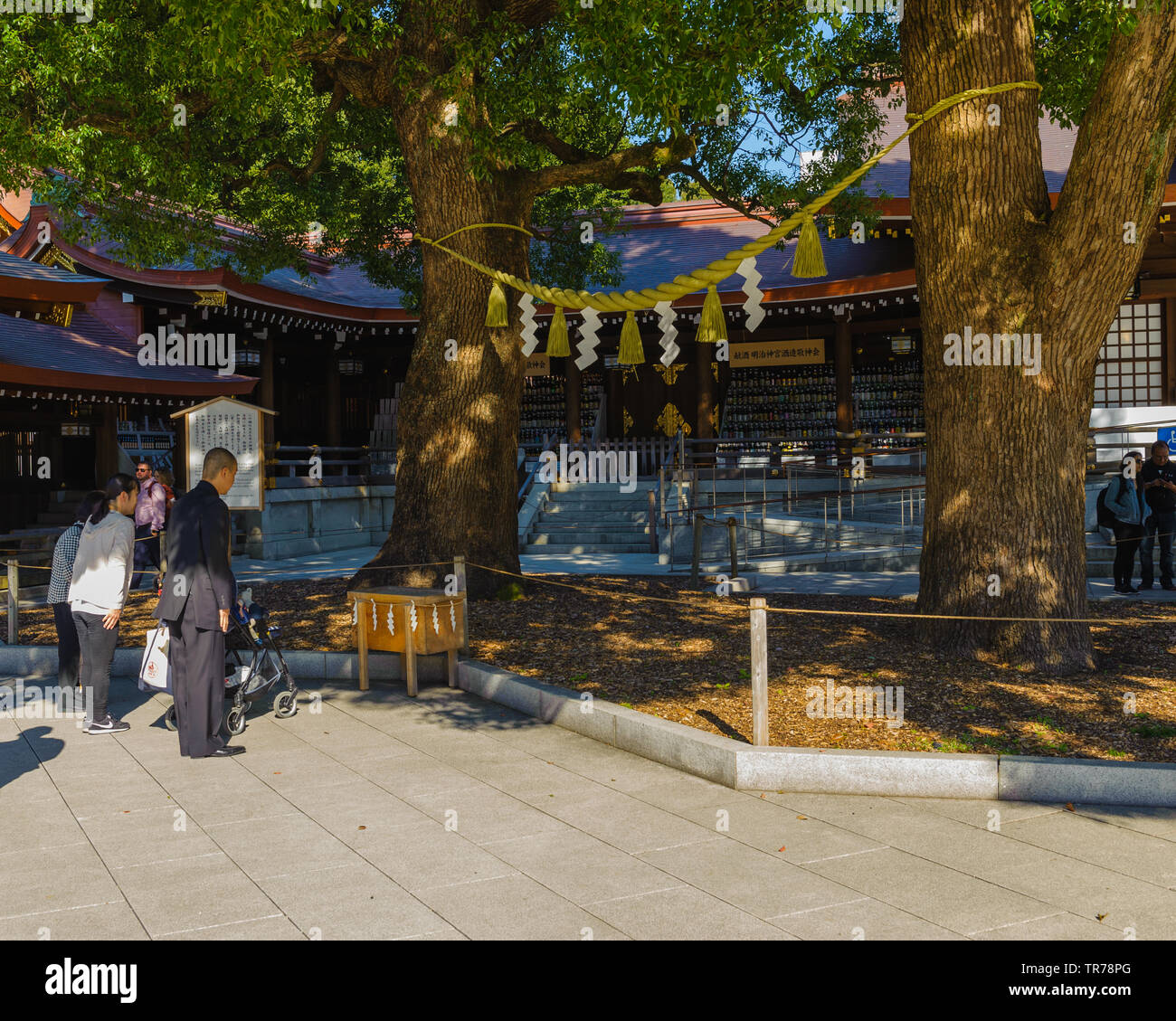 Japanese people holding a prayer infront of holy trees in Meiji Shrine ...