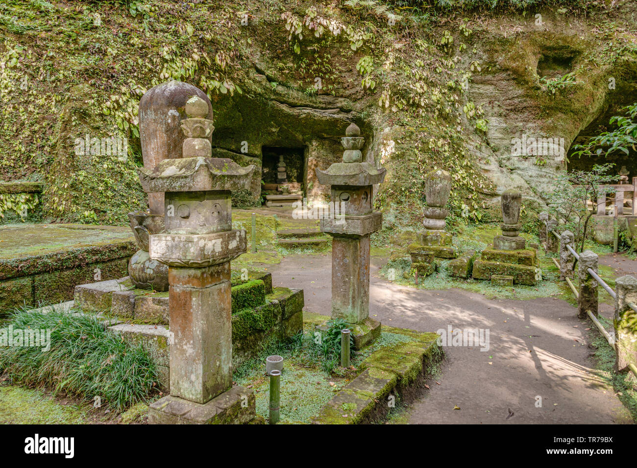 Japanese temple in forest hi-res stock photography and images - Alamy