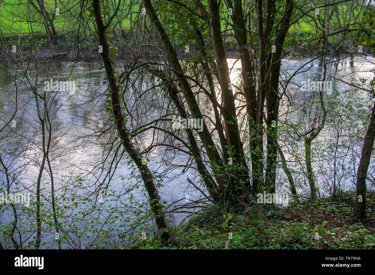 River wye walk wales hi-res stock photography and images - Alamy