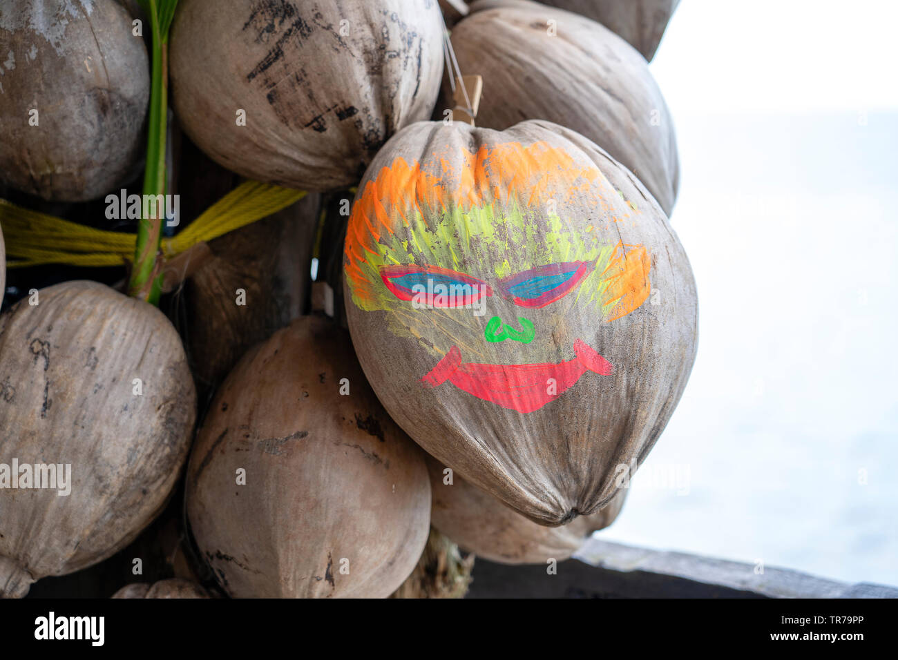 Coconut Face Stock Photos & Coconut Face Stock Images - Alamy