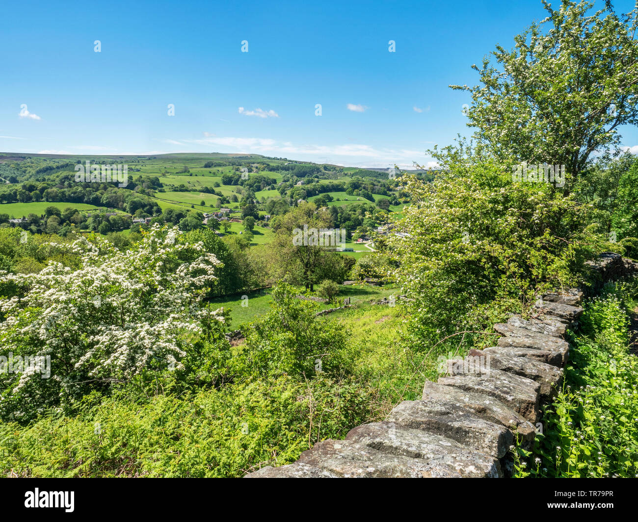 View across Nidderdale to Guise Cliff from the Panorama Walk at Pateley ...