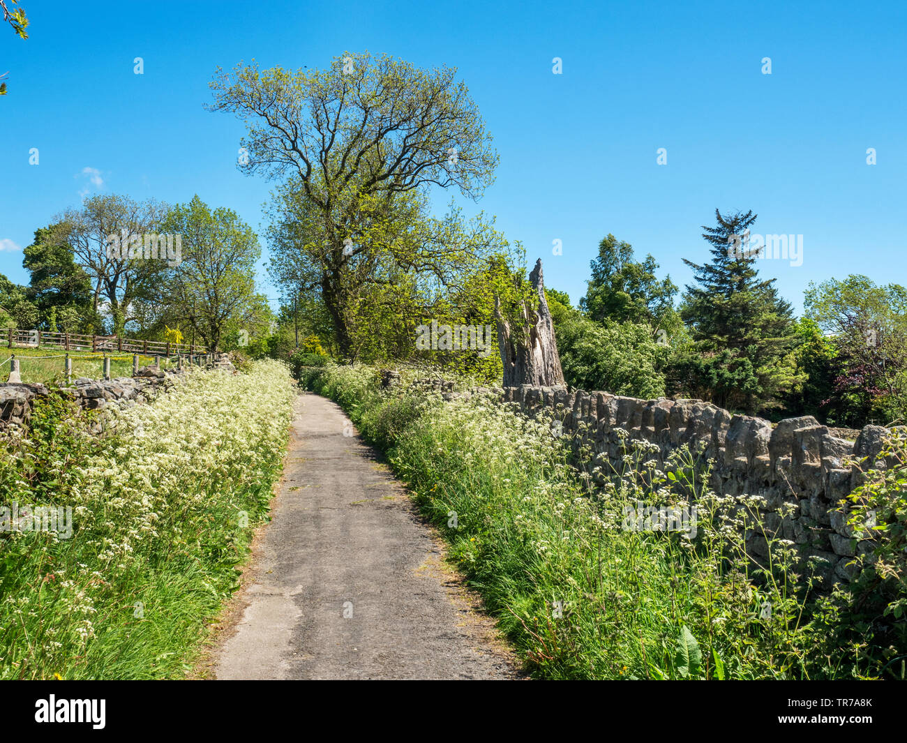 The Panorama Walk at Pateley Bridge North Yorkshire England Stock Photo ...