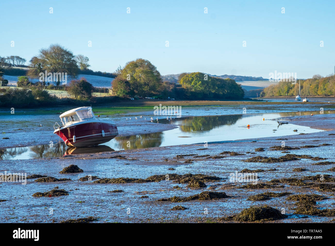 Frosty autumnal morning on the estuary at Frogmore, South Devon Stock ...