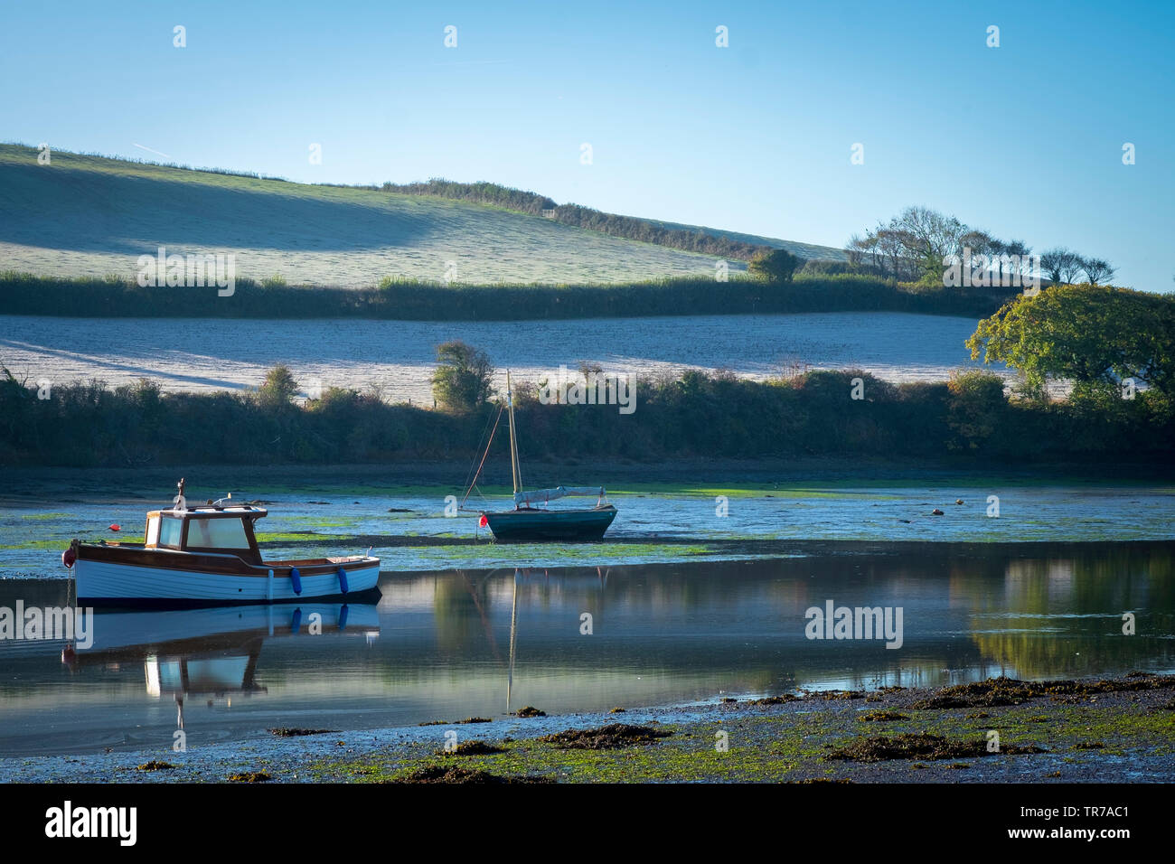 Frogmore hi-res stock photography and images - Alamy