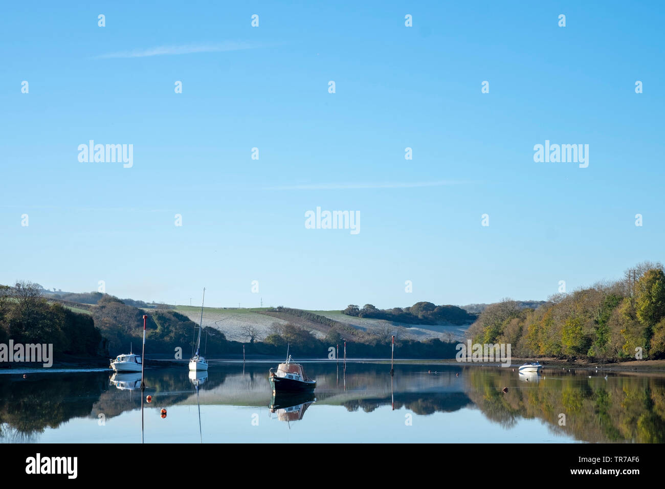 Frogmore hi-res stock photography and images - Alamy