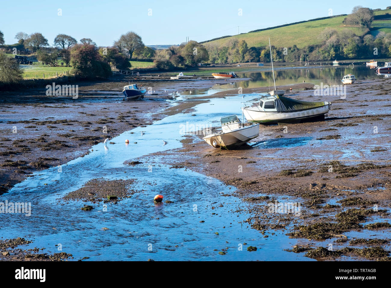Frogmore hi-res stock photography and images - Alamy