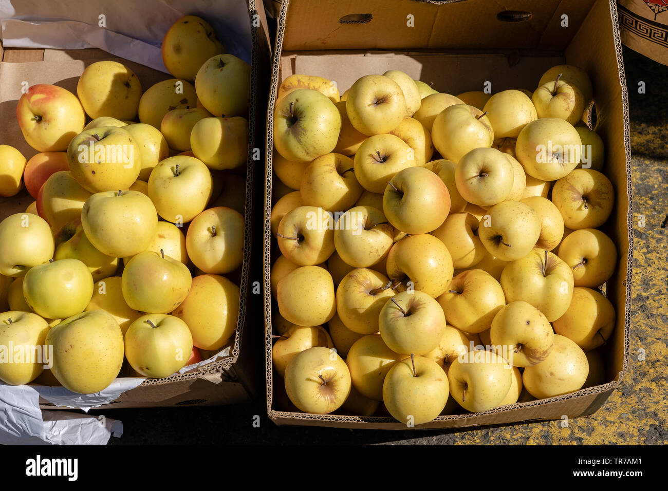 Ripe apples on a market stall. Organic apple fruits in pile at local ...