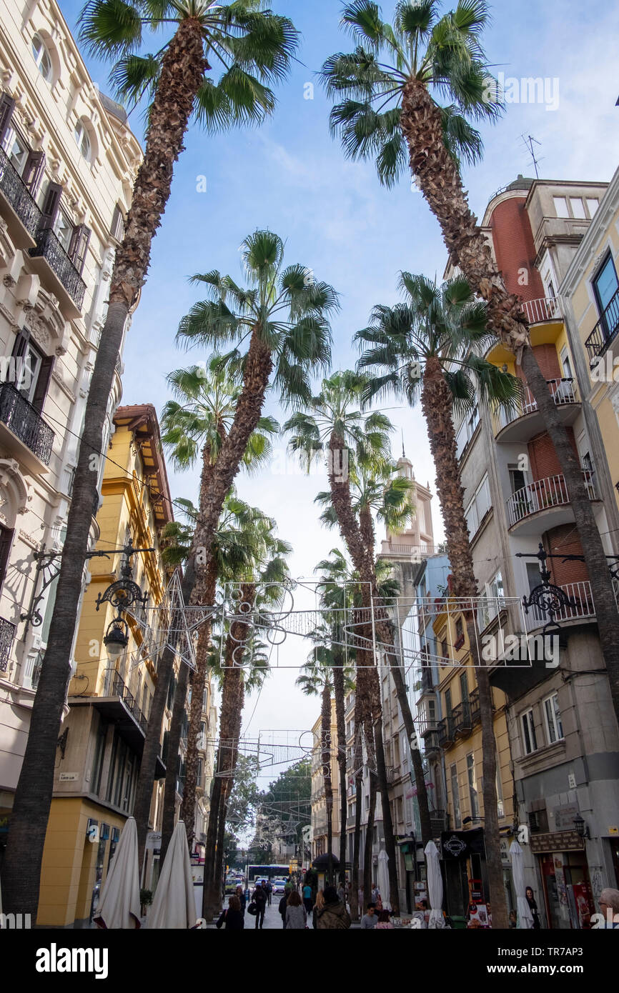 The old centre of Malaga, Spain. Palm trees shading the streets Stock ...