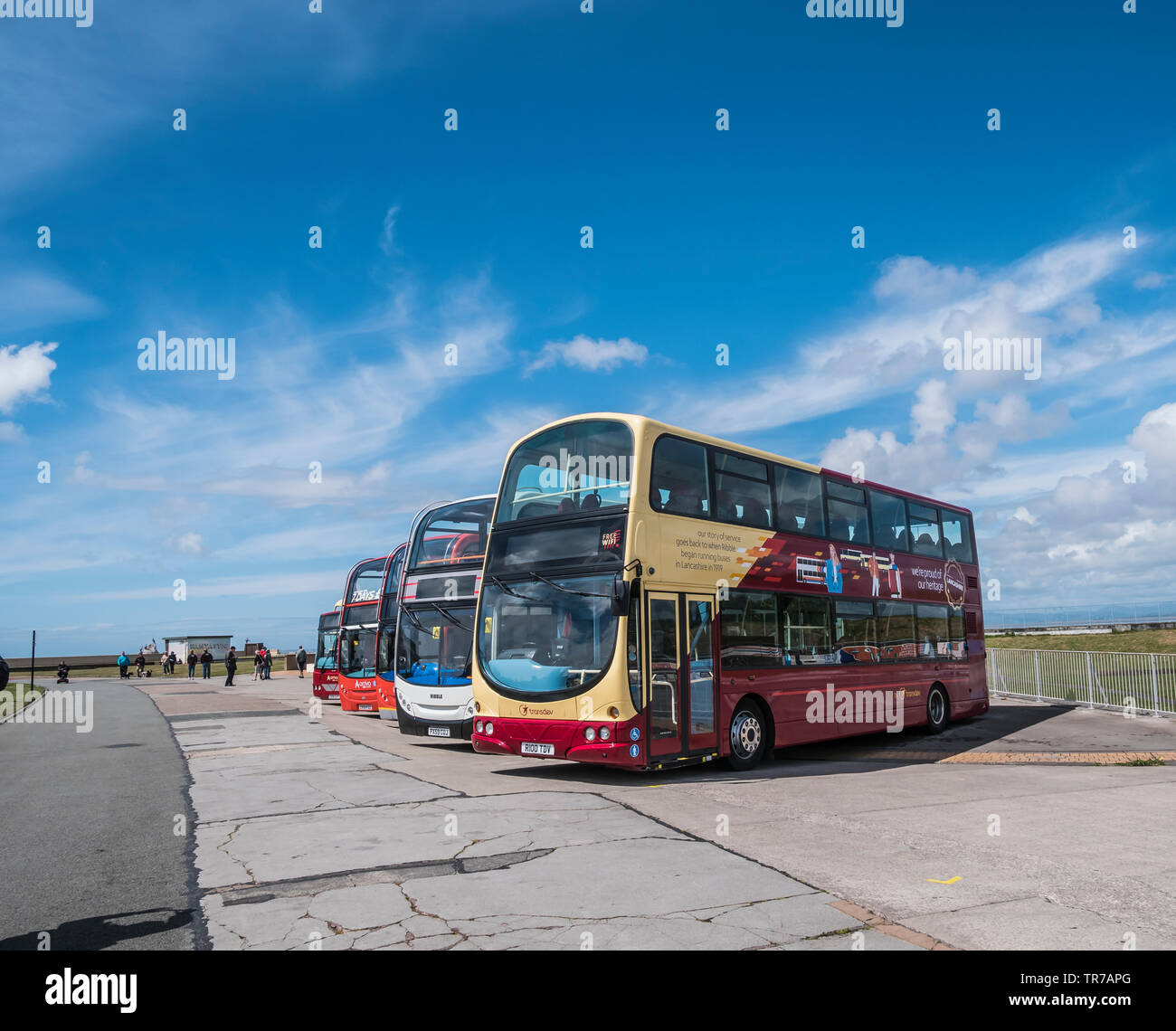 Modern public transport buses on display at the coastal town of ...