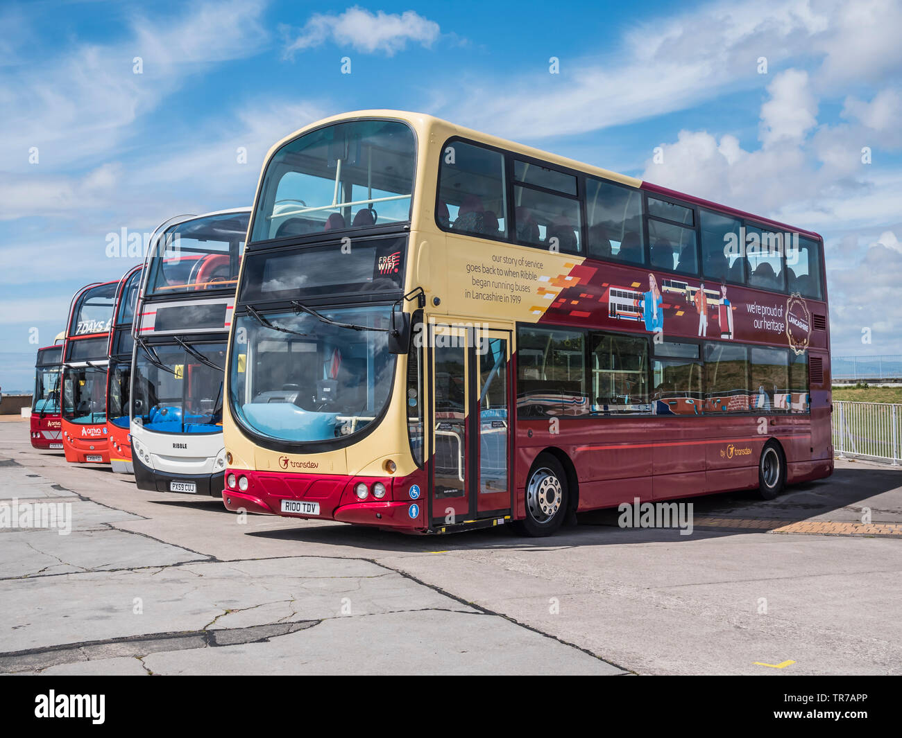 Modern public transport buses on display at the coastal town of ...