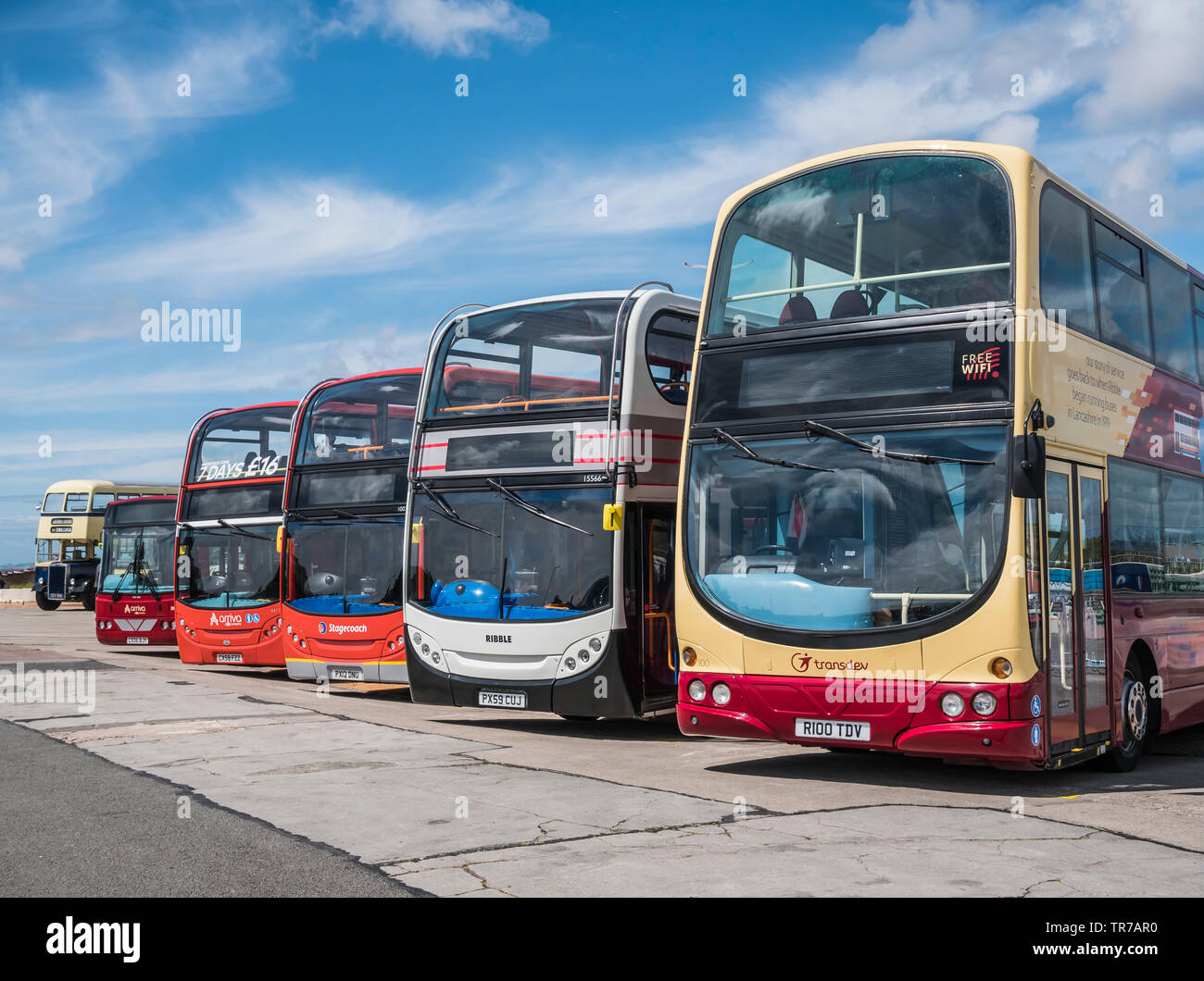 Modern public transport buses on display at the coastal town of ...