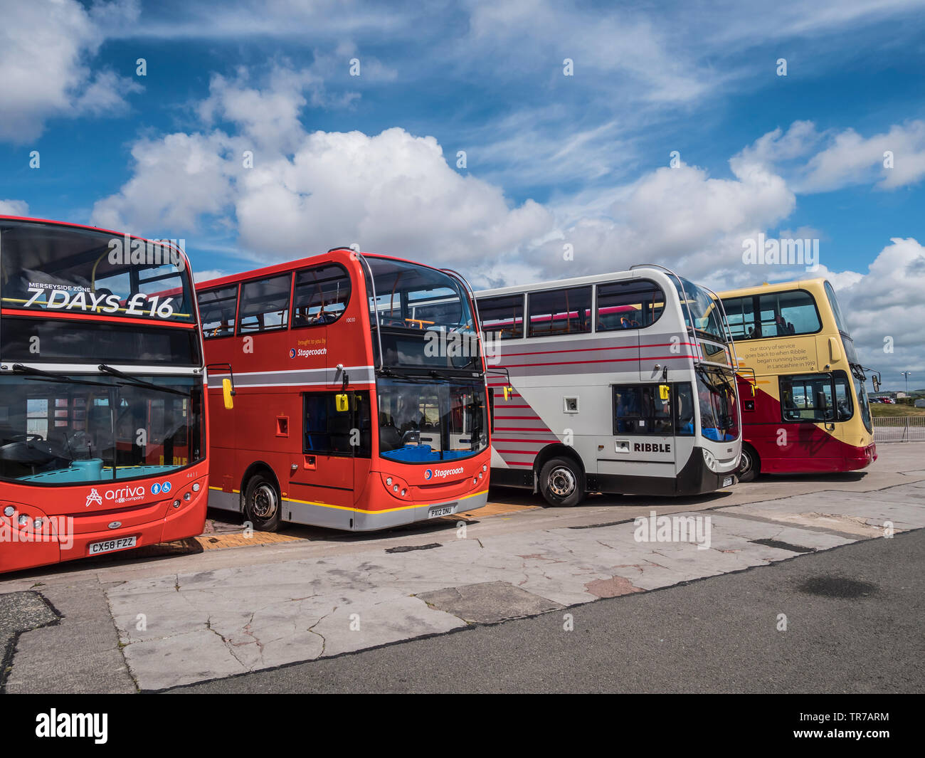Modern public transport buses on display at the coastal town of ...