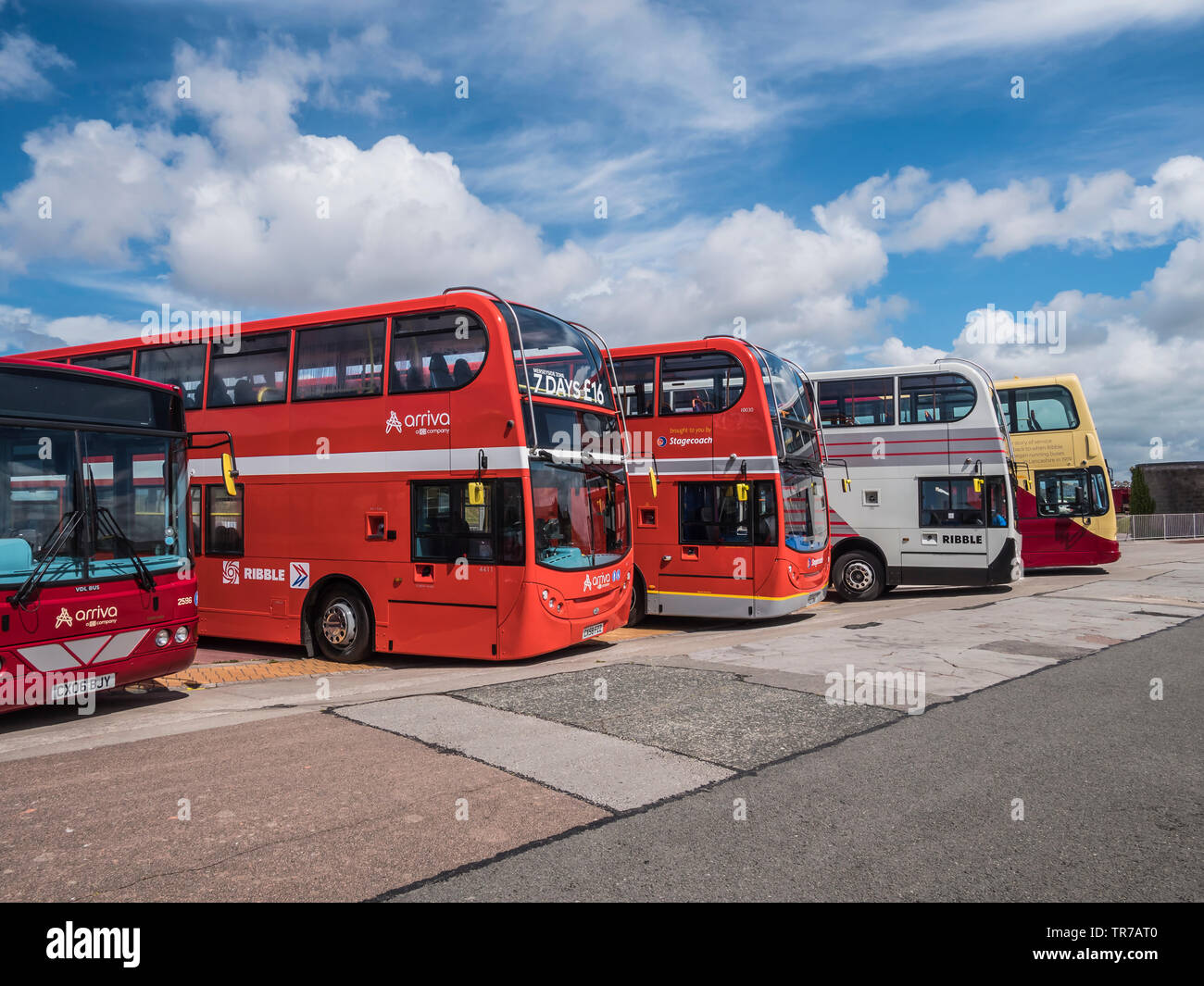 Modern public transport buses on display at the coastal town of ...